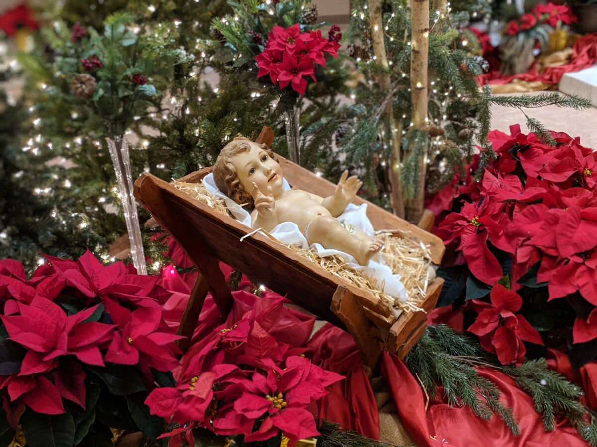 Christmas - St. Anthony Shrine